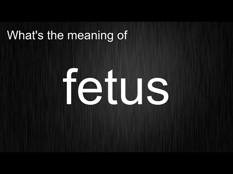 What's the meaning of "fetus", How to pronounce fetus?