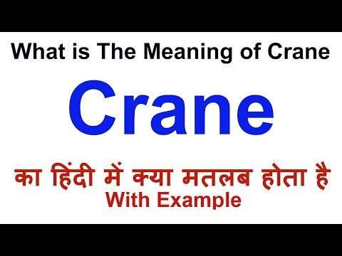Crane Meaning in Hindi | Crane Definition | Crane Ka Matlab Kya Hota Hai | Crane in Hindi