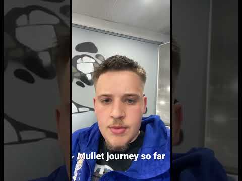 My mullet journey from the last 6 months