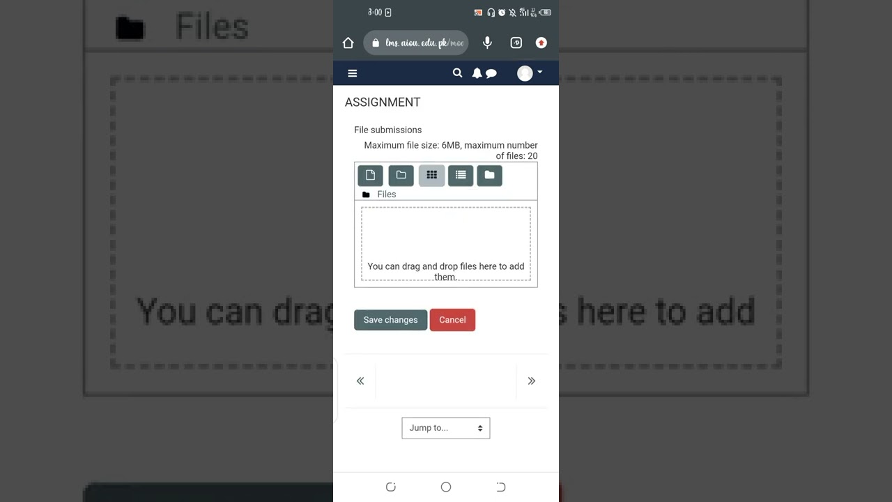 How you can submit your assignments to your lms portal 👍