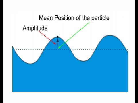 What is meant by amplitude and intensity