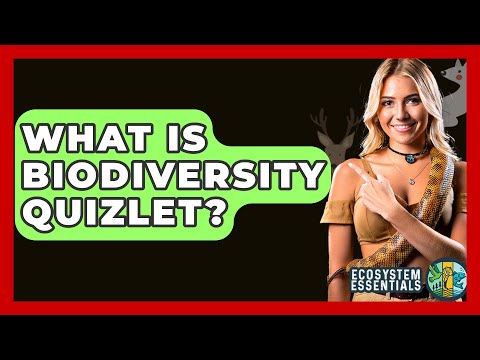 What Is Biodiversity Quizlet? - Ecosystem Essentials