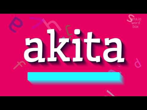 How to say "akita"! (High Quality Voices)
