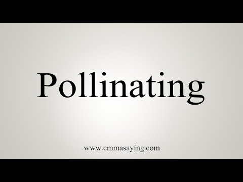 How To Say Pollinating
