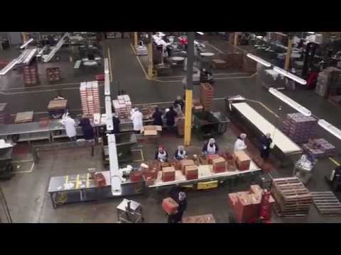 Four Seasons Produce - Continuous Improvement with KaiNexus