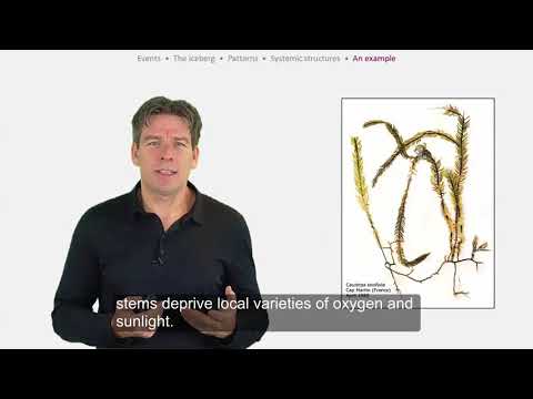 Mooc - The systemic nature of complex problems