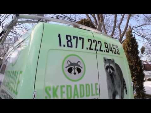 Skedaddle Humane Wildlife Control - We're Hiring