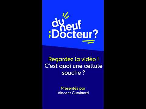 Vincent Cuminetti – C’est quoi une cellule souche ?