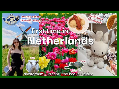 First Time in Netherlands! Dutch Food, Miffy, Madurodam, Tulips, Windmills | cozy travel vlog