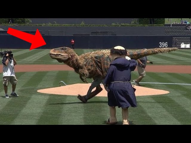 Bizarre MLB first pitches of the day: Ludacris nails a perfect throw ...