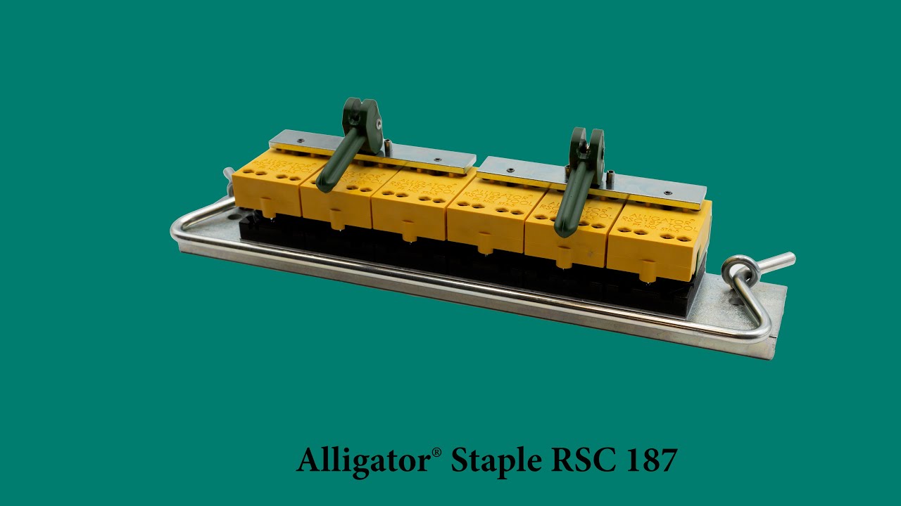 Flexco Solutions @Work Alligator® Staple RSC 187