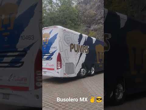 Volvo 9809 Euro 6 de Futura Select 🟣⚪ #bus #autobuses #travel #volvo #volvobus #viaje #shorts