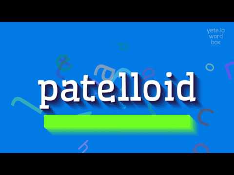PATELLOID - HOW TO SAY PATELLOID?