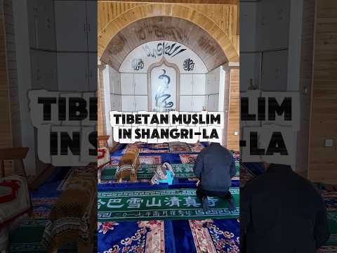 Visited Tibetan Muslim in Shari-la and meet a imam #chinatravel