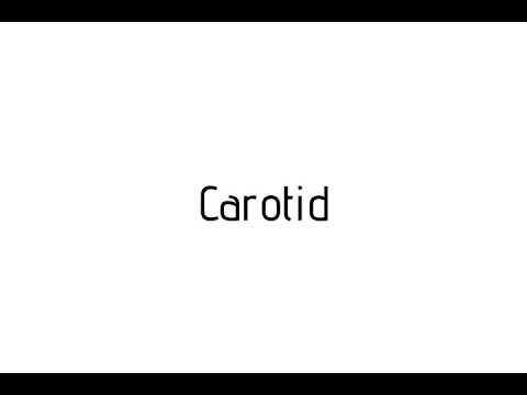 How to pronounce Carotid / Carotid pronunciation