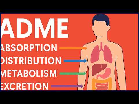 What is ADME in Toxicology?