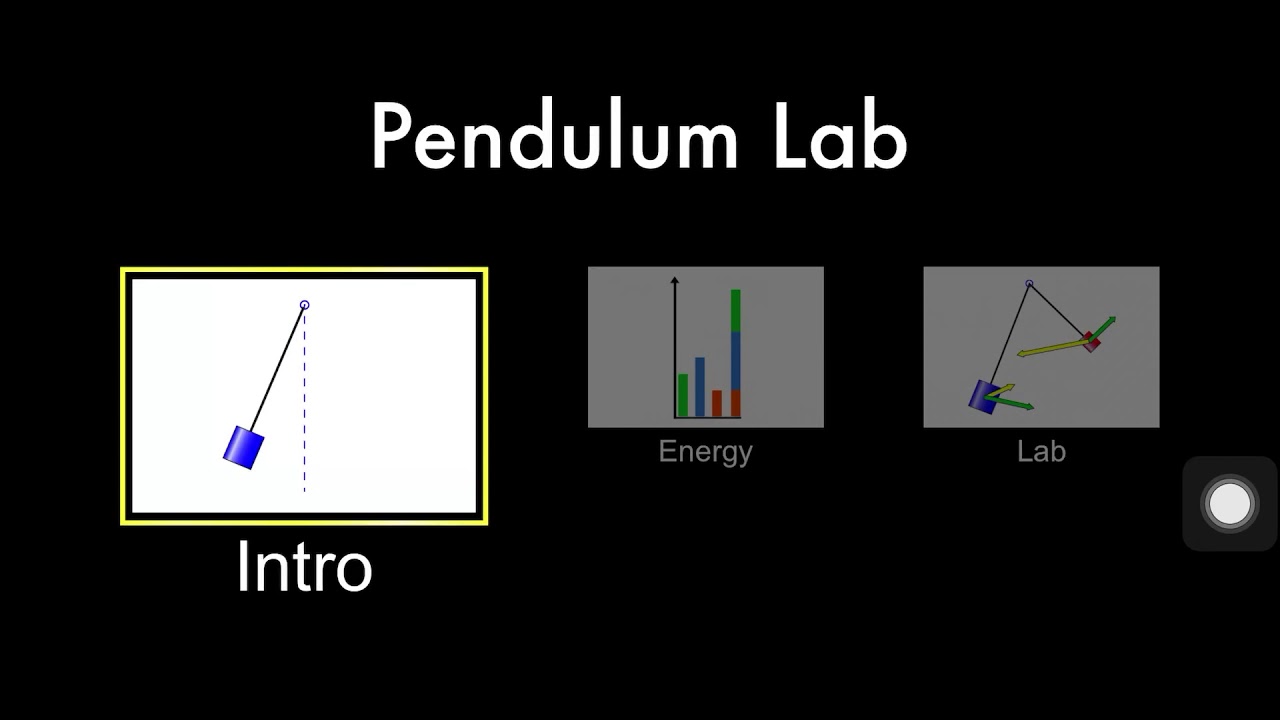 How to use the Pendulum Simulator