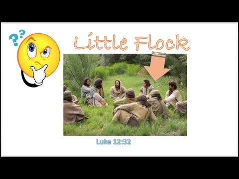 Who are the 144,000? Jehovah Witness vs The Bible!