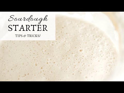 How to start a Sourdough Starter | BAKING FROM SCRATCH