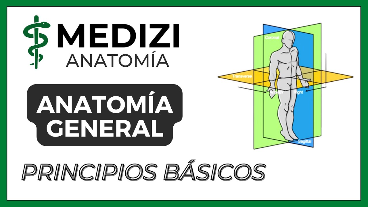 General Anatomy - Basic Principles