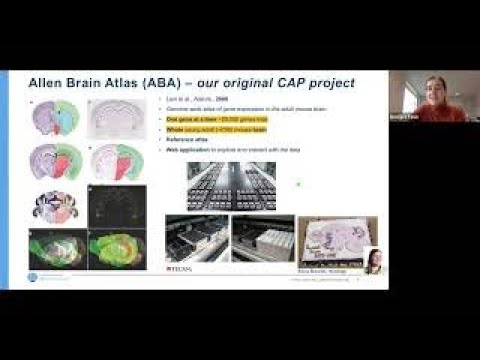 Cell types of mouse cortex: definition and experimental access
