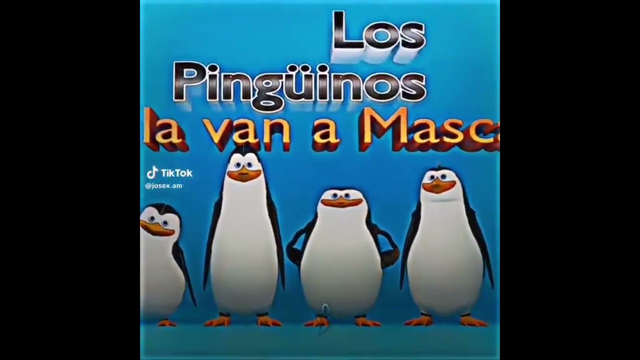 Madagascar penguin meme #madagascar #meme