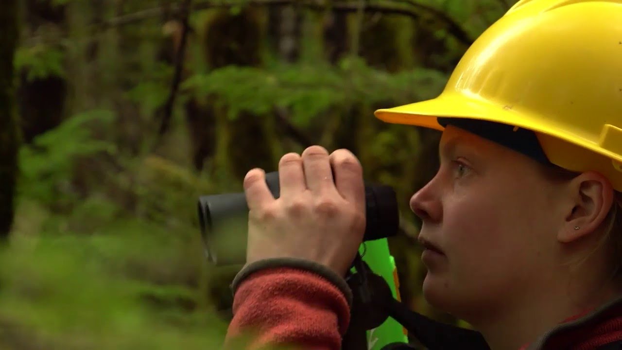 Without This Place: A Glimpse of the HJ Andrews Experimental Forest