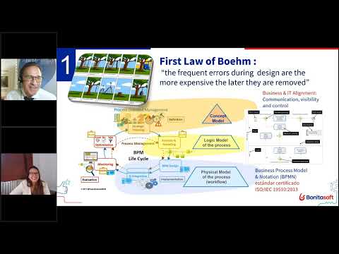 Plug into BPM: What does BPM offer to business process developers?