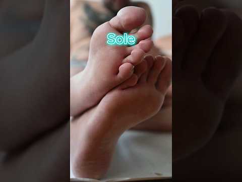 Expand Your Vocabulary Mastery: SOLE - MEDICAL DEFINITION