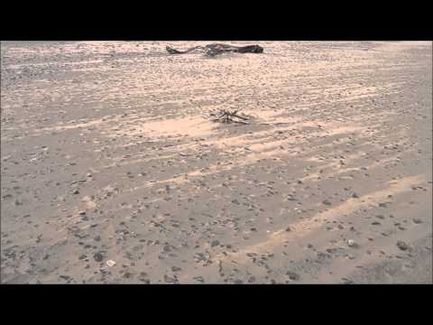 Saltation In North Devon -Two