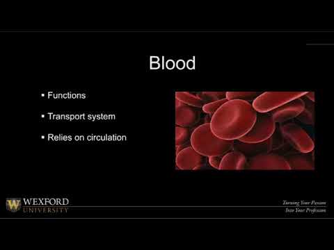 Physical Wellness Part 1 | Education for Health and Fitness Professionals