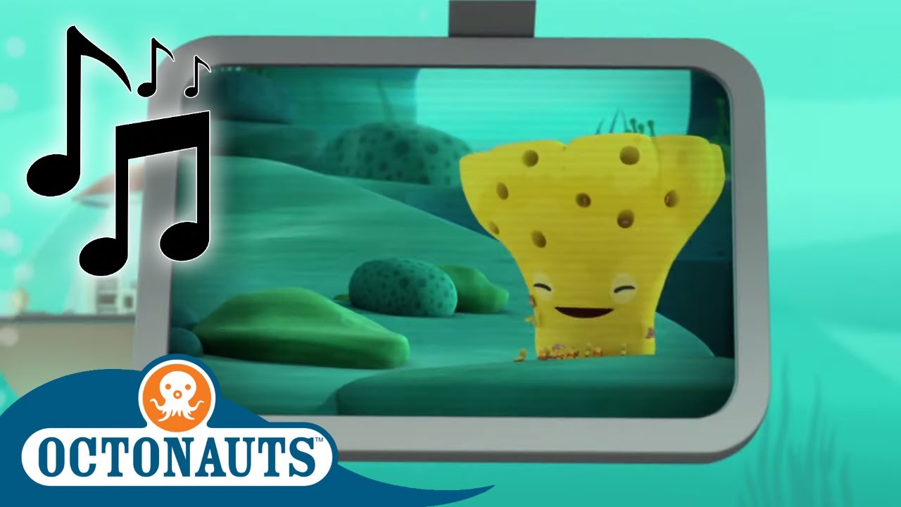 Octonauts - Sea Sponge and Others | Cartoons for Kids | Creature Reports 🎵