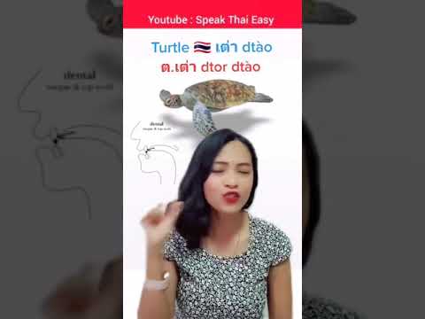 Learn Thai #shorts 47 -Thai pronounce ต