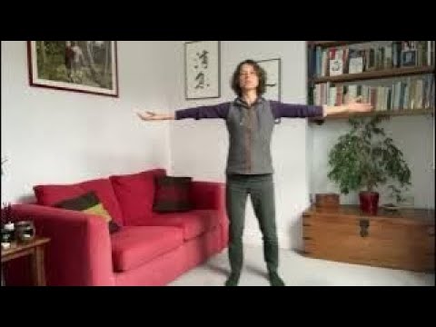Qi Gong for Liver -Online or recording! Saturday 25 May 4pm to 5pm BST by donation. See below.