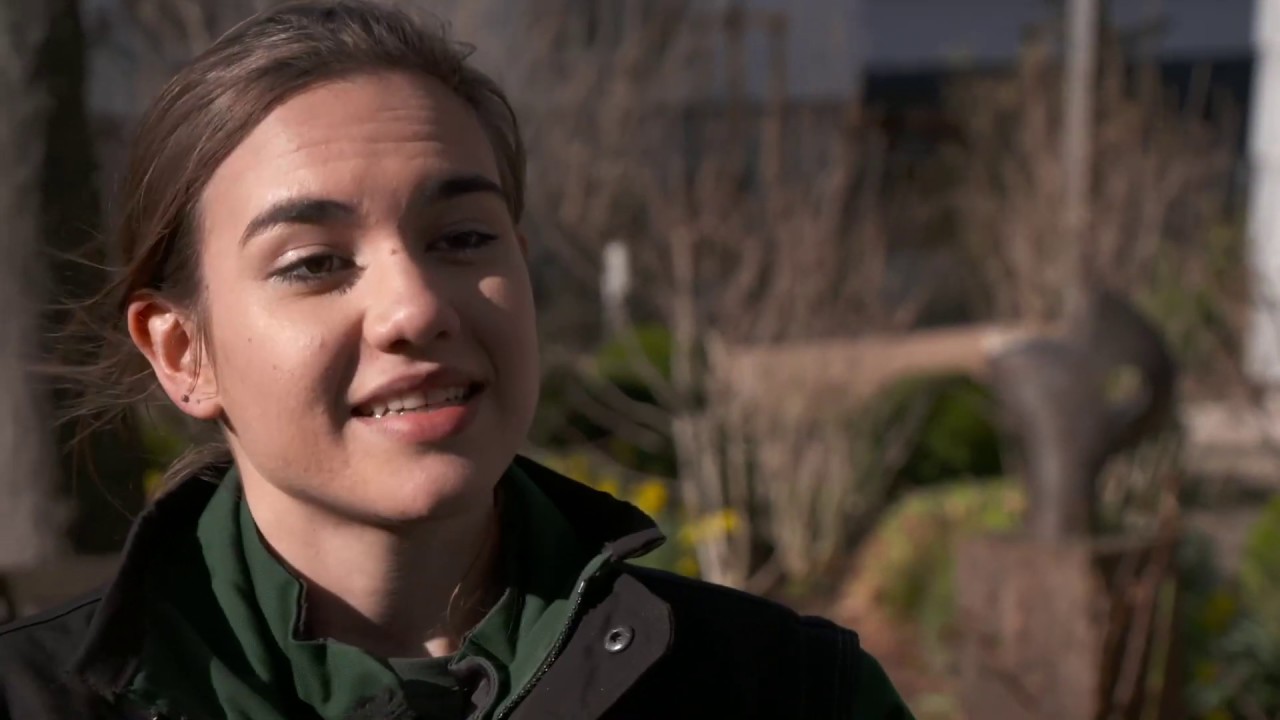 A day as an intern in horticulture and landscaping
