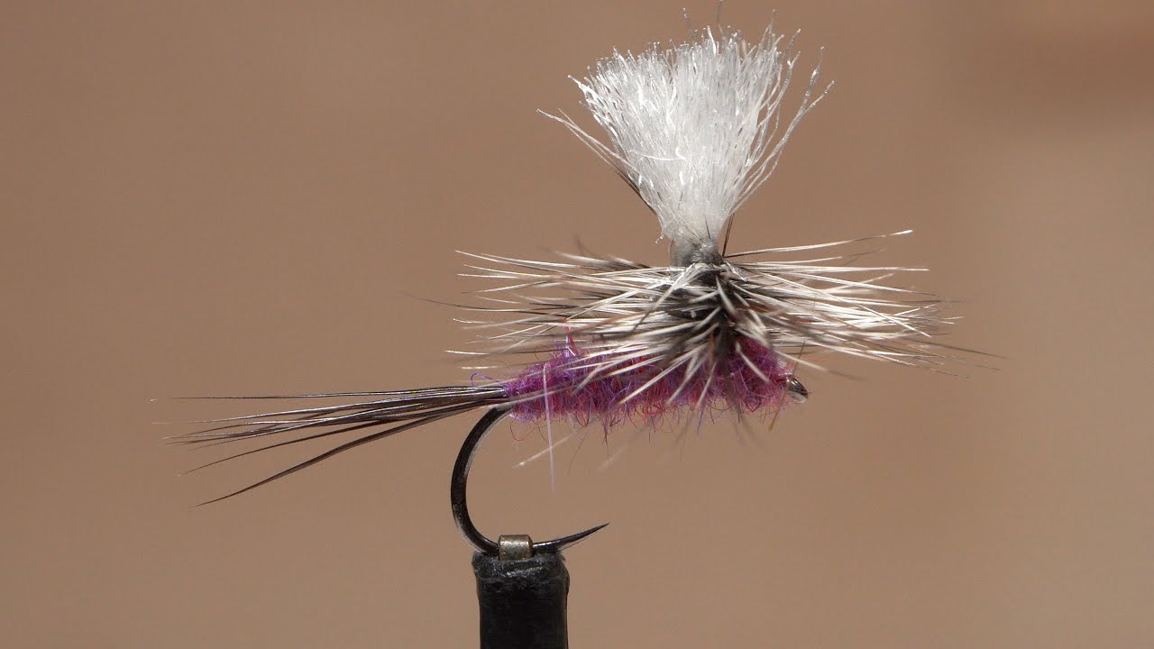 Purple Haze Dry Fly Pattern – Tied by Tim Flagler