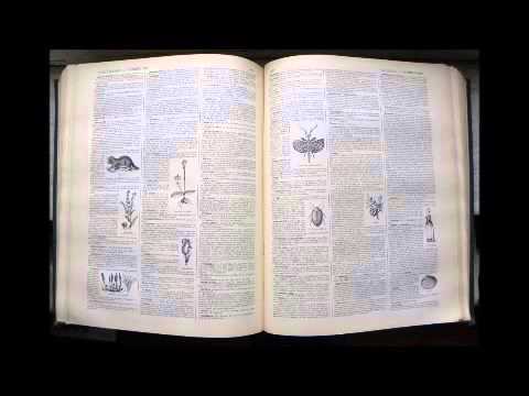 Anamnèse | Dictionnaire français audio