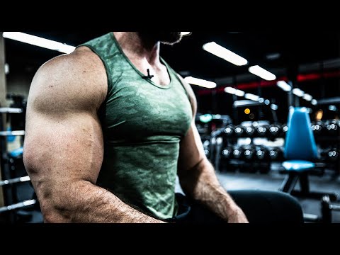 How To Get Big FREAKING Arms (BICEPS & TRICEPS WORKOUT)
