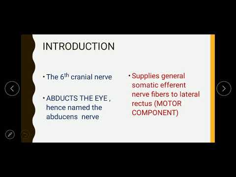 Abducent Nerve-Essay