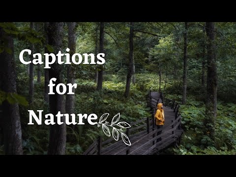 Nature Instagram Captions | Captions for Instagram for Nature Lovers