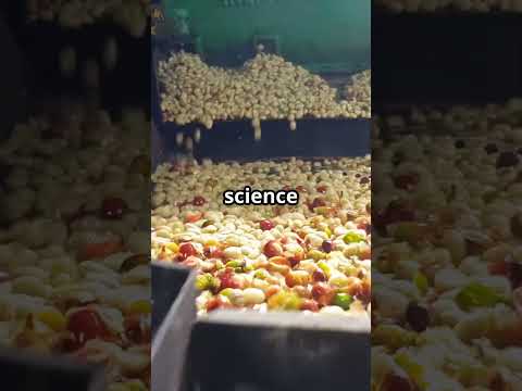 Ever wondered how your favorite fruit juice powder is made? 🍍🍓🍊