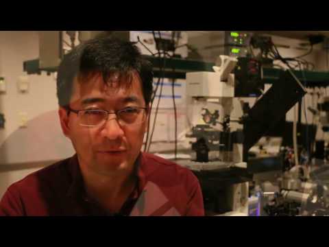 Ji Xin Cheng, Professor