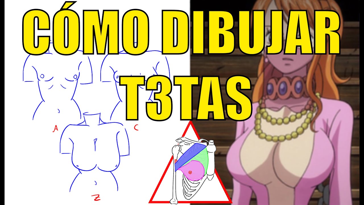 Cómo dibujar pechos de mujer ANIME o REALISTAS ✌️ Anatomía para artistas 🤙 Curso de dibujo