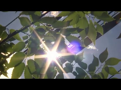 How to conserve energy – and save money – in a heat wave | NBC4 Washington