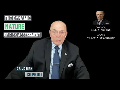 The Dynamic Nature of Risk Assessment
