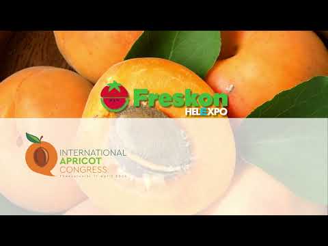 Freskon 2024 - TV Spot (EN)