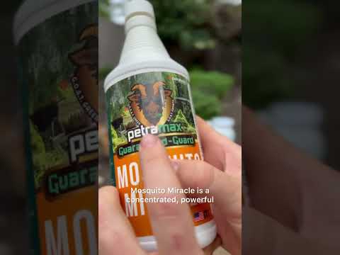 How to Get Rid of Mosquitoes FAST...Pet-Safe Spray!