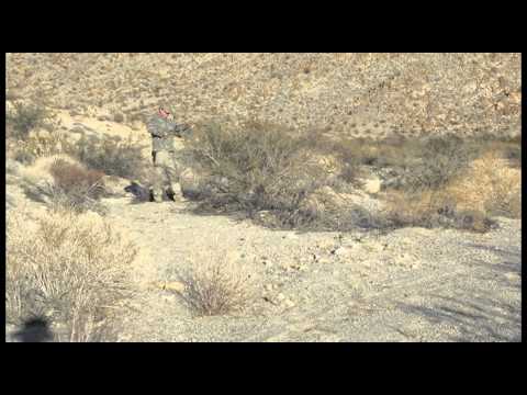 Desert Camo Review