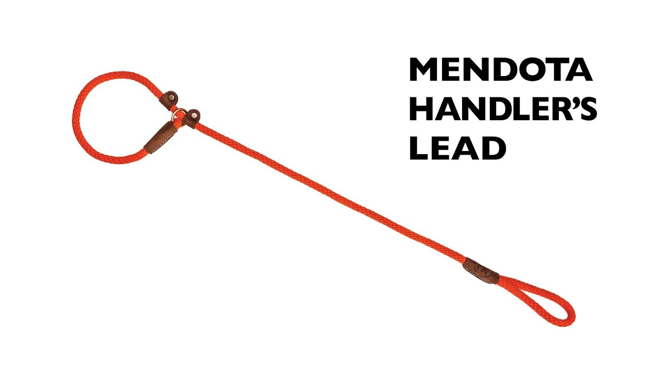 Mendota Handler Lead