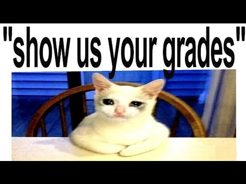 Relatable Picture #86 | Memenade Relatable Memes | MemesSo #shorts #TrendingMemes